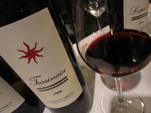 Tassinaia 2006 Castello del Terriccio IGT Toscana | Vinodaburde