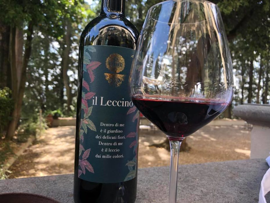 la leccia | Vinodaburde
